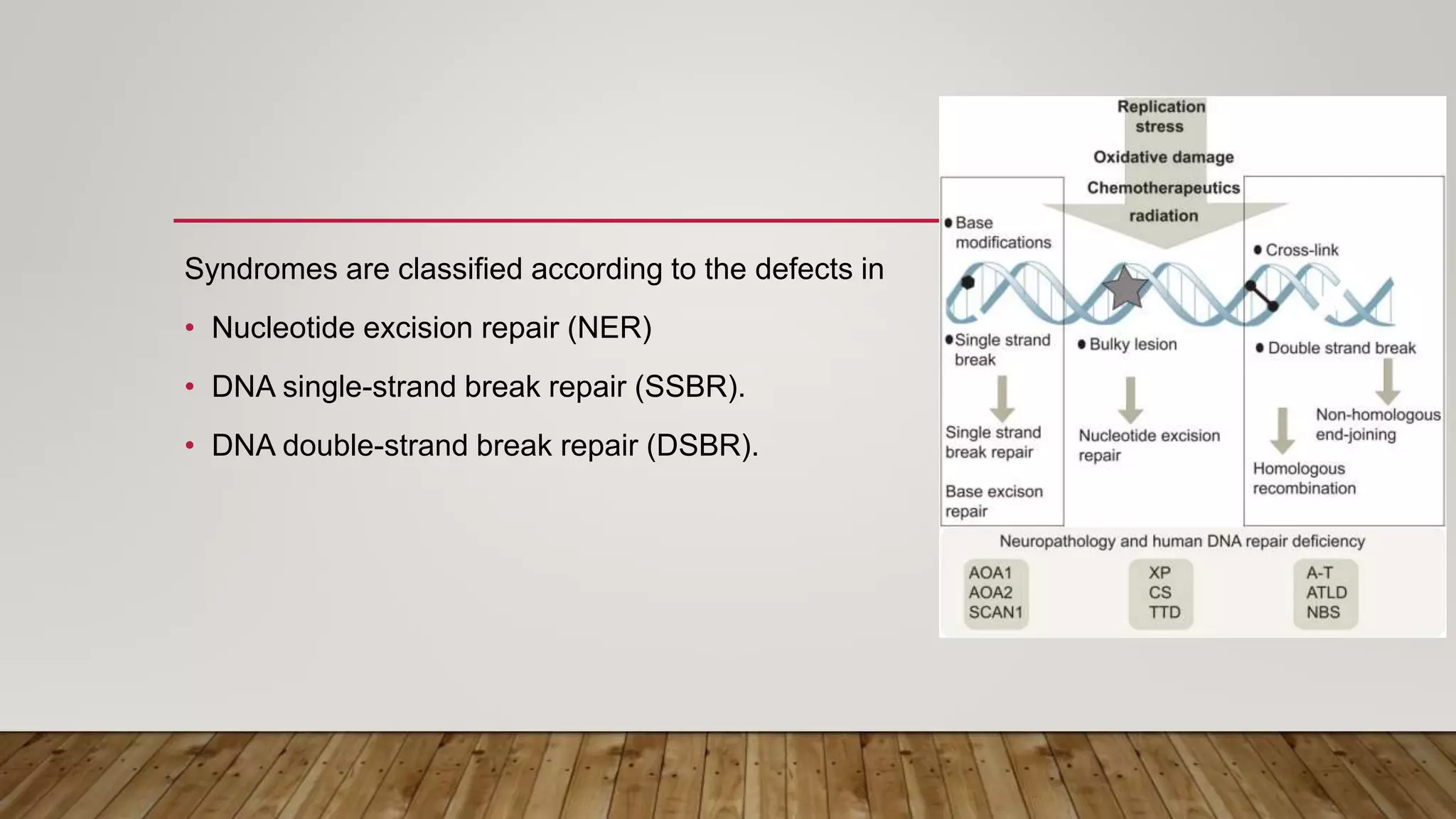 DNA REPAIR DEFICIENCY DISEASES | PPTX | Skin and Dermatology | Diseases ...