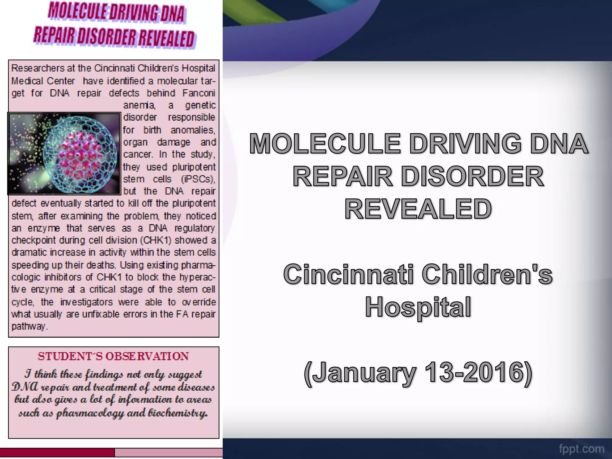Dna repair mechanism | PPT