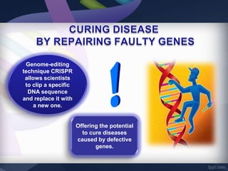 Dna repair mechanism | PPT