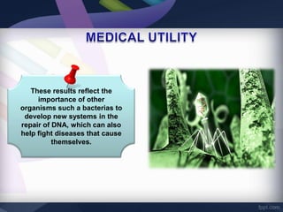 Dna repair mechanism | PPT