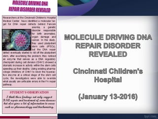 Dna repair mechanism | PPT