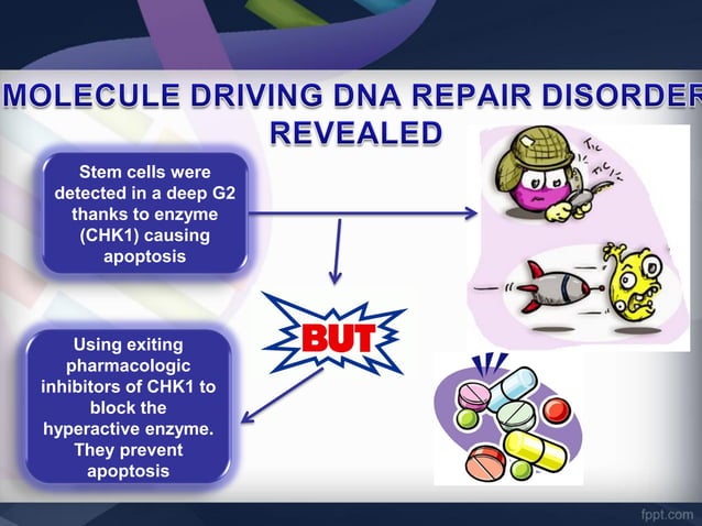 Dna repair mechanism | PPT