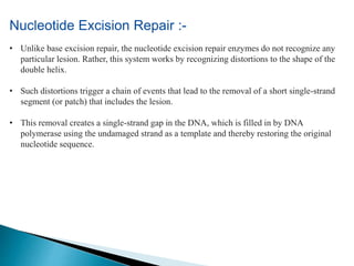 Dna repair mechanism | PPTX