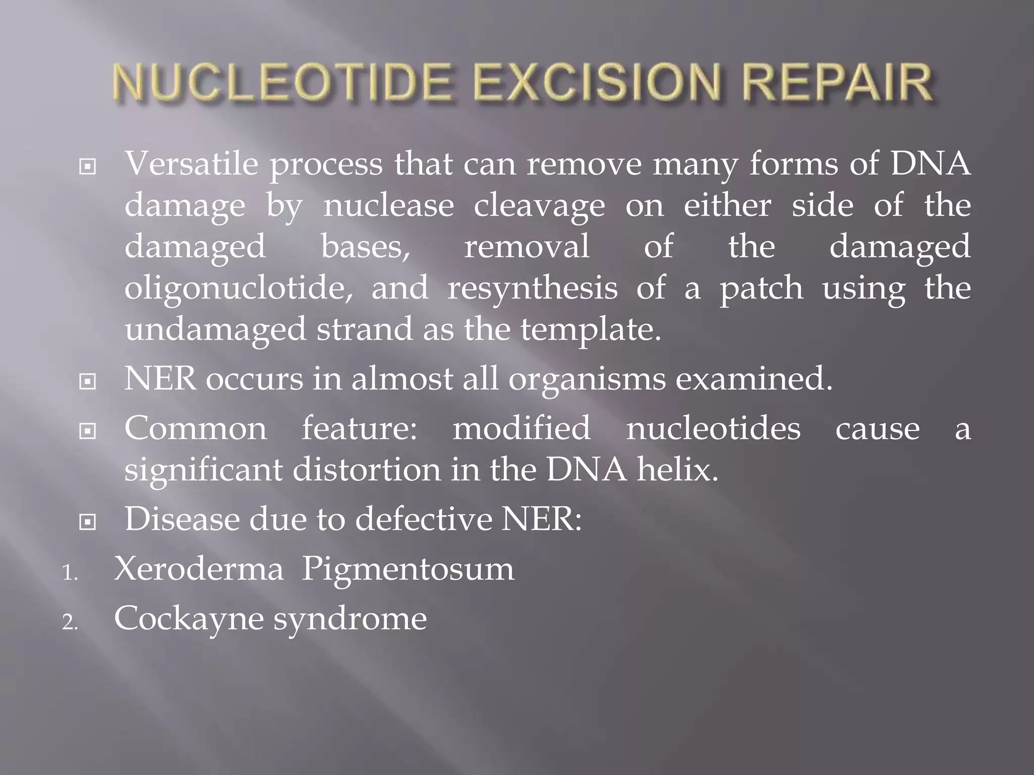 DNA repair mechanism | PPTX