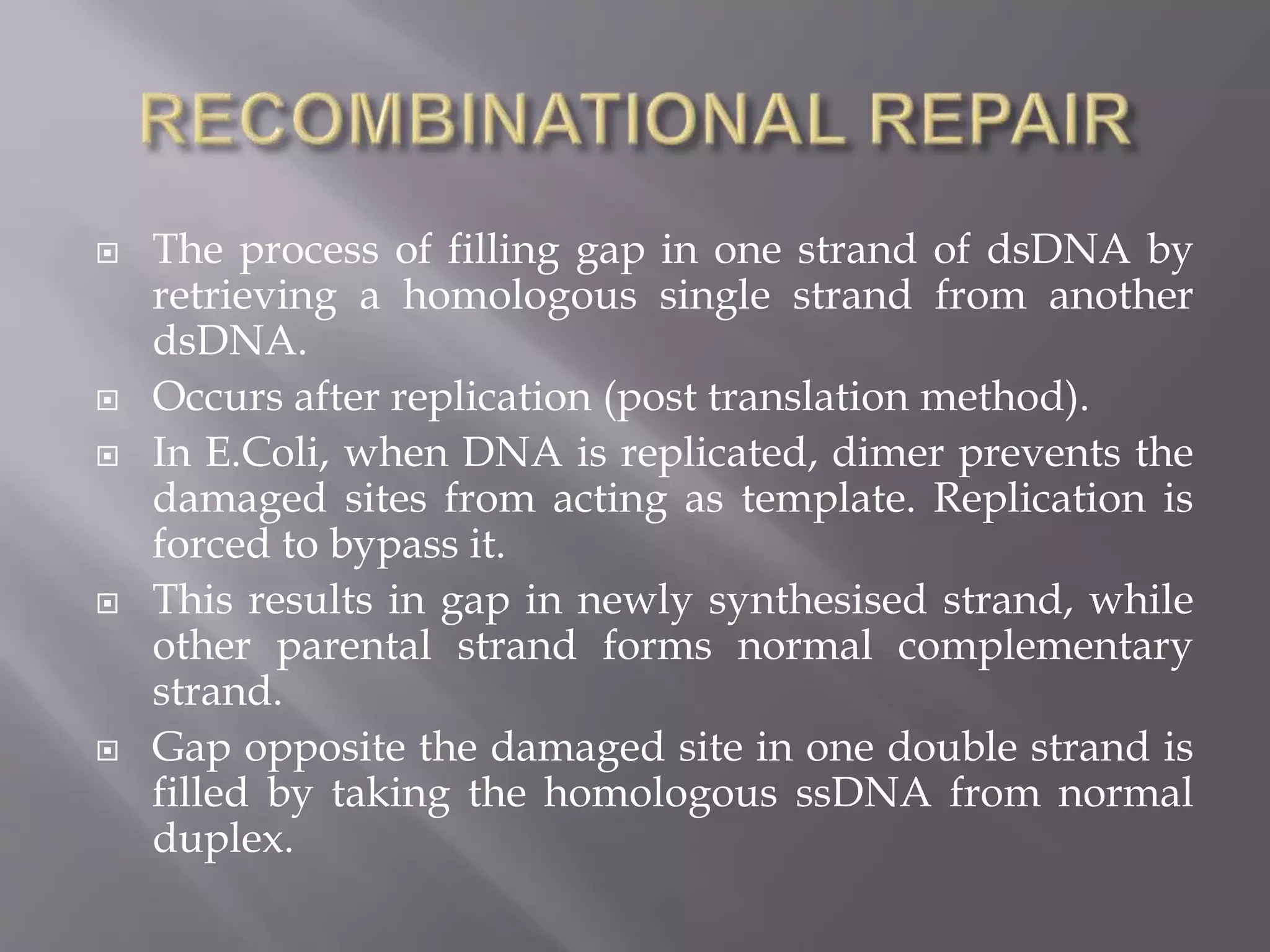 DNA repair mechanism | PPTX