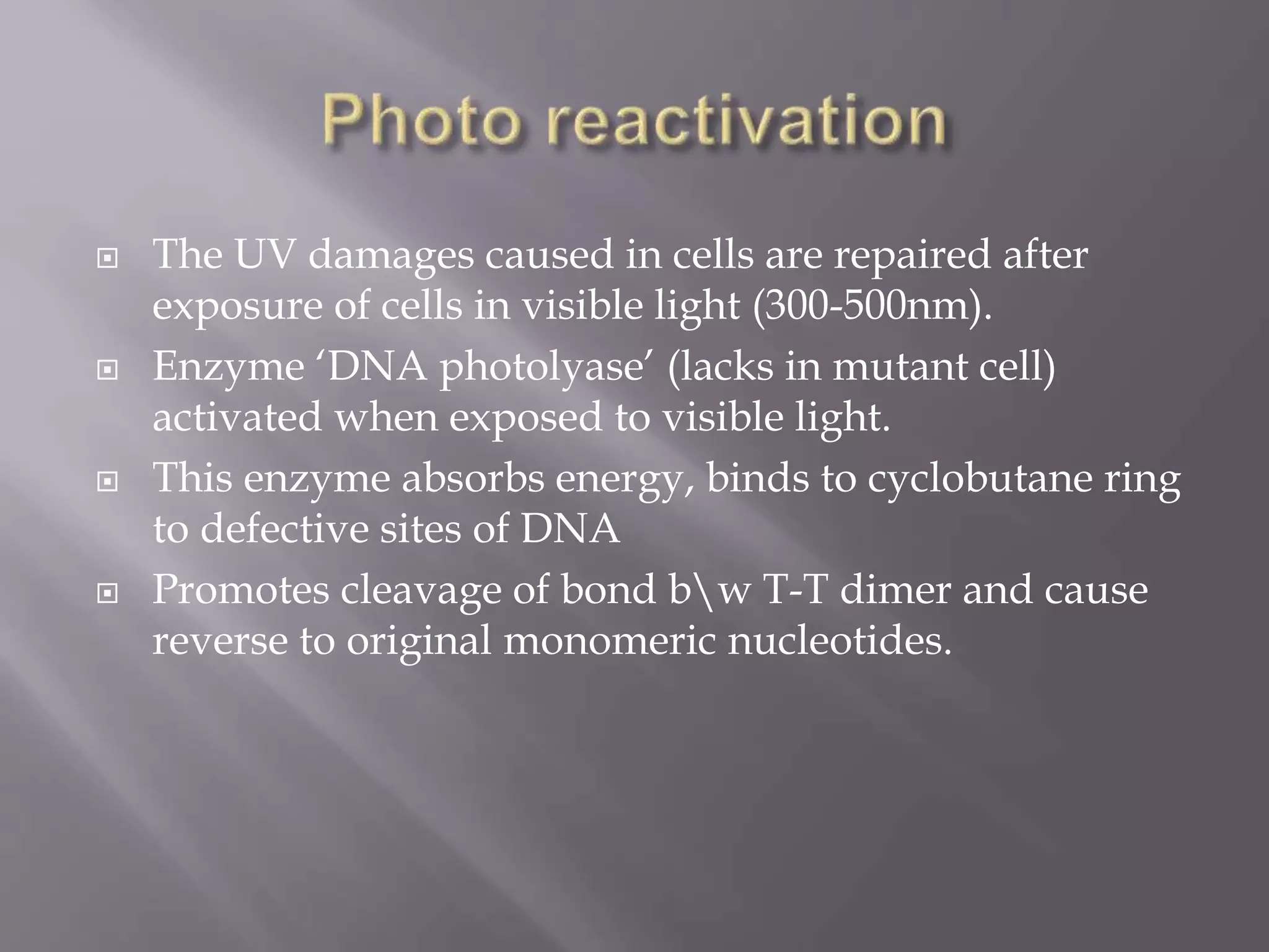DNA repair mechanism | PPTX