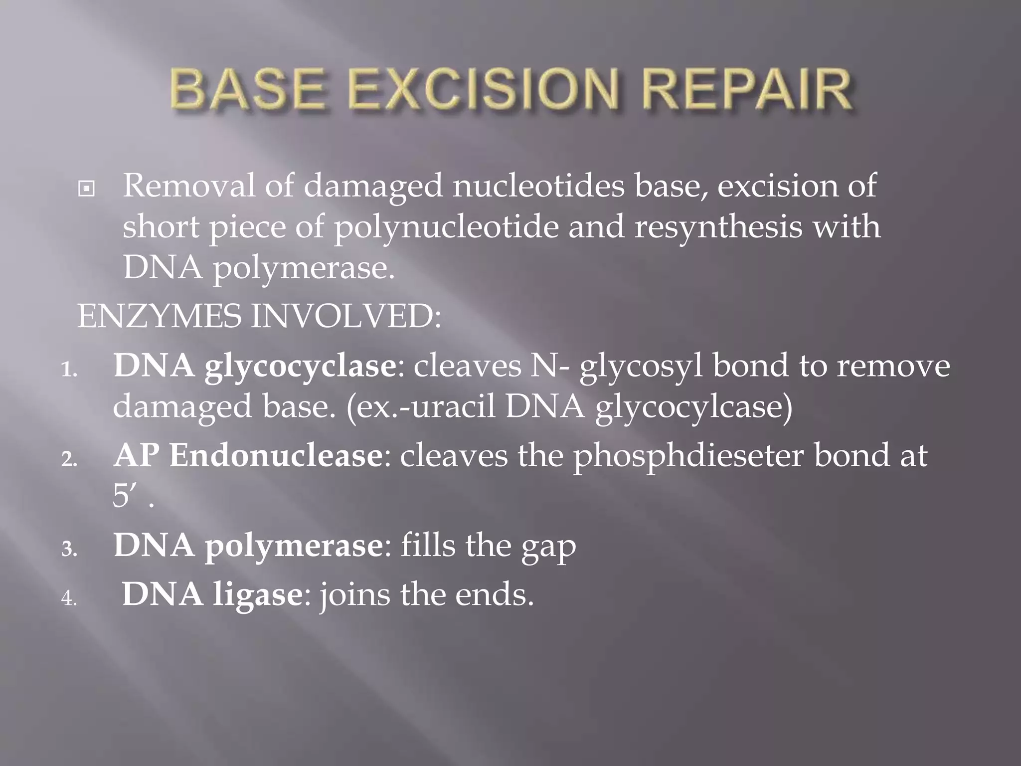 DNA repair mechanism | PPTX