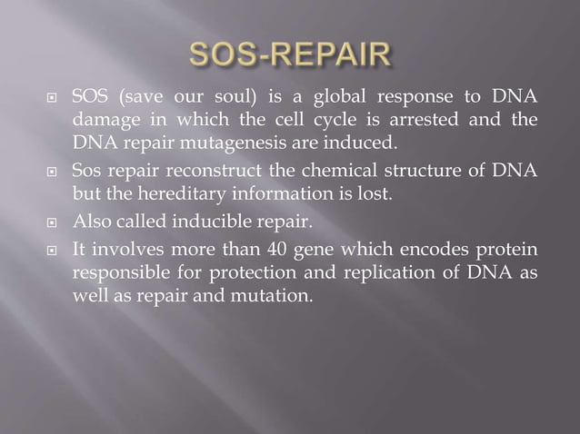 DNA repair mechanism | PPTX