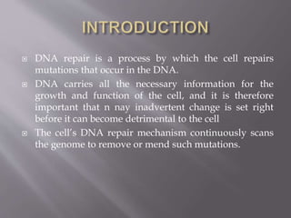 DNA repair mechanism | PPTX