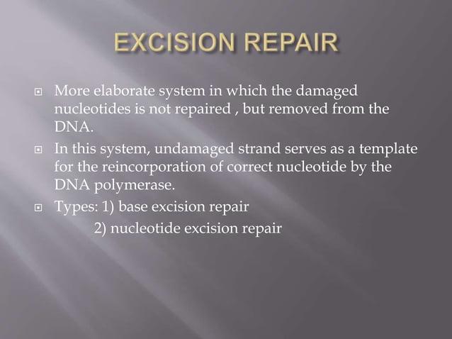 DNA repair mechanism | PPTX