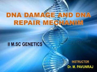 Dna repair mechanism | PPT