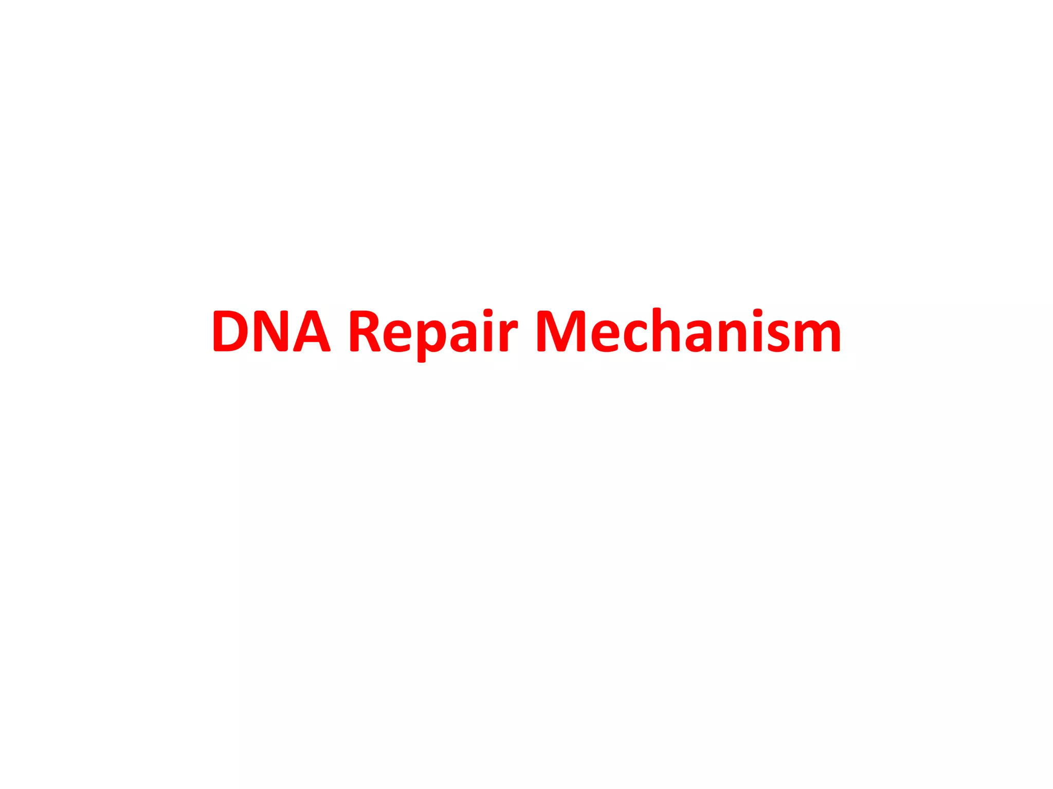 DNA Repair mechanism.pptx