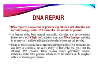 DNA Repair mechanism.pptx