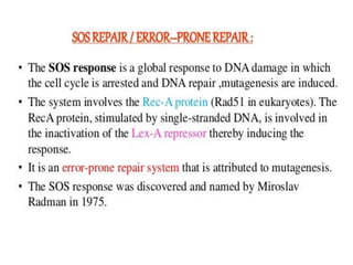 DNA Repair mechanism.pptx | Chemistry | Science
