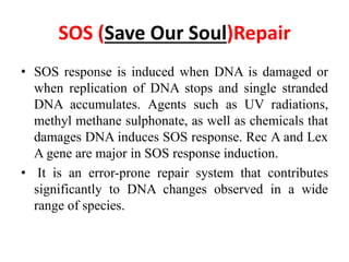 DNA Repair mechanism.pptx