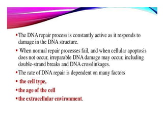 DNA Repair mechanism.pptx