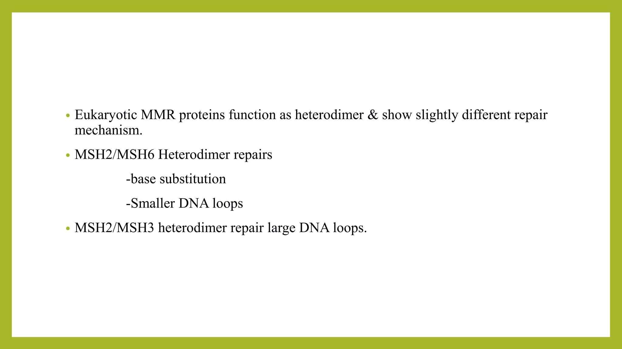 dna repair mechanism.pptx | Chemistry | Science