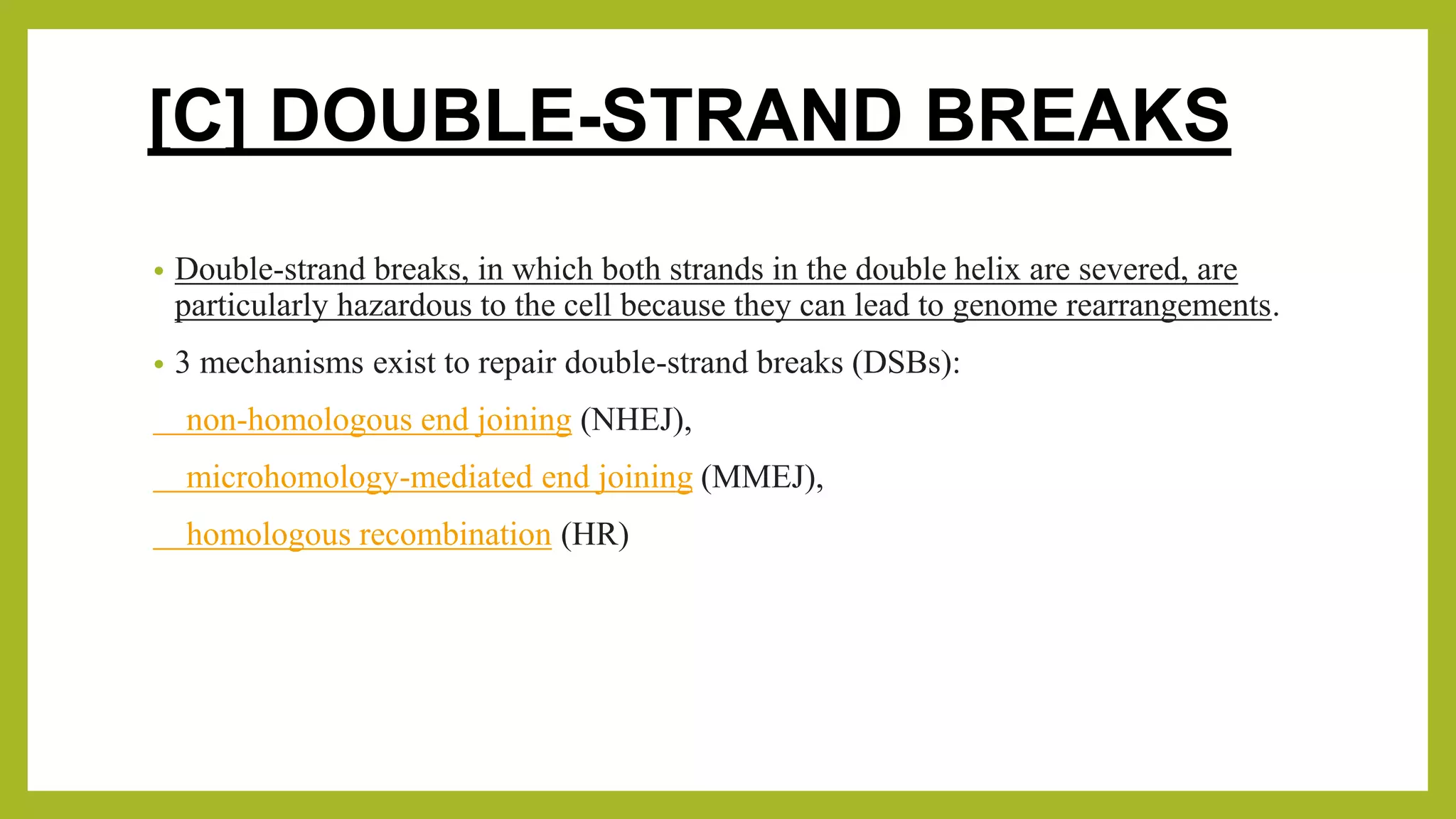 dna repair mechanism.pptx | Chemistry | Science