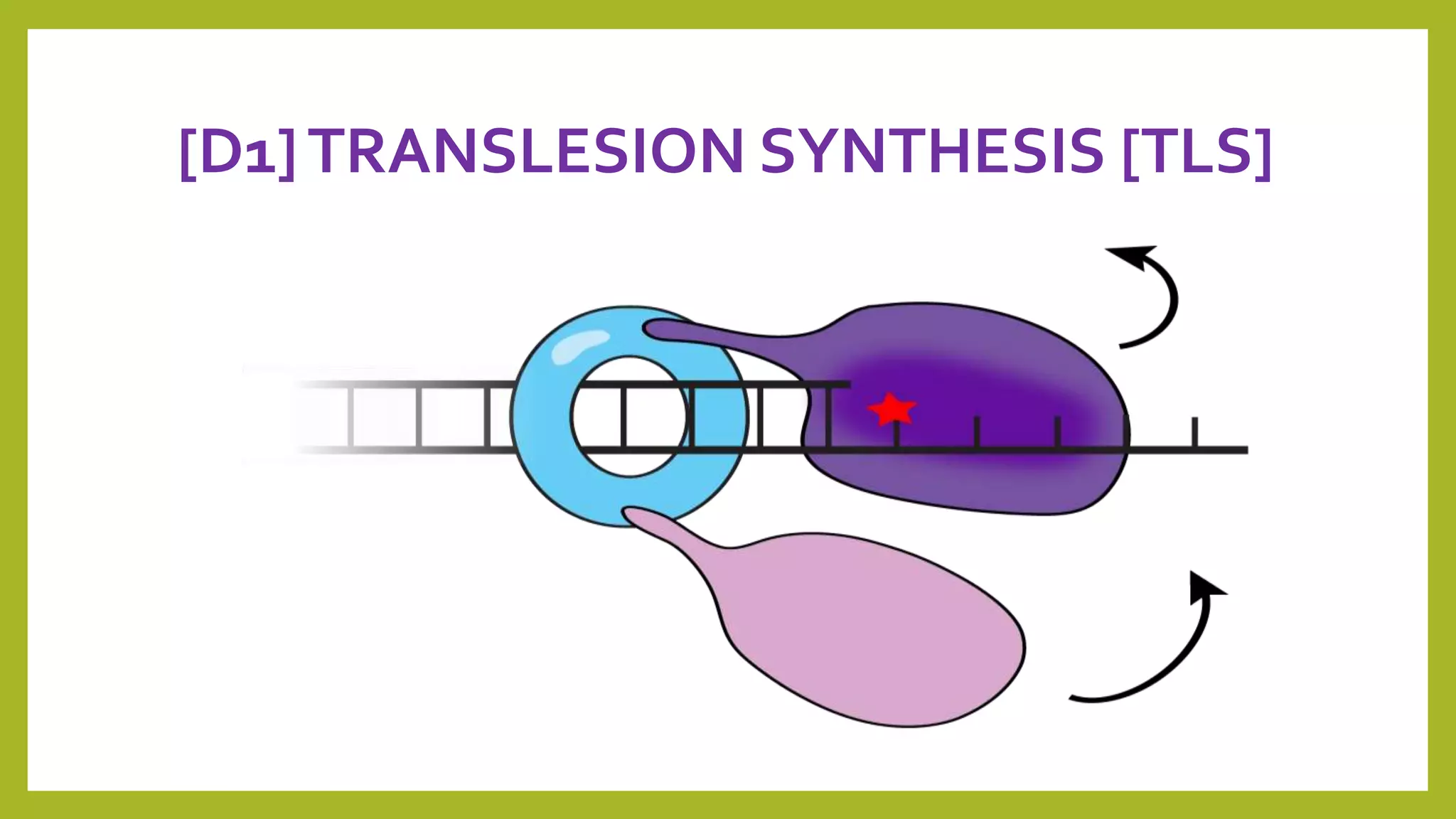 dna repair mechanism.pptx | Chemistry | Science
