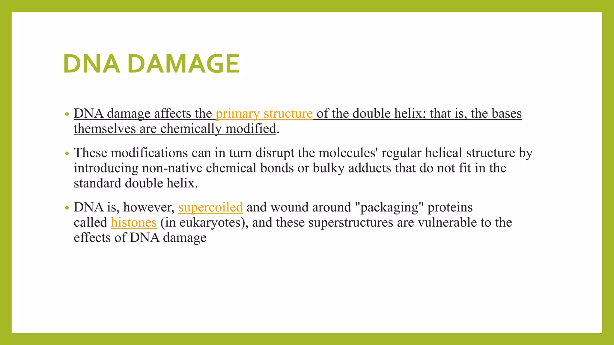dna repair mechanism.pptx | Chemistry | Science