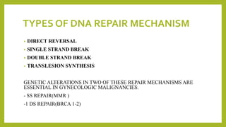 dna repair mechanism.pptx