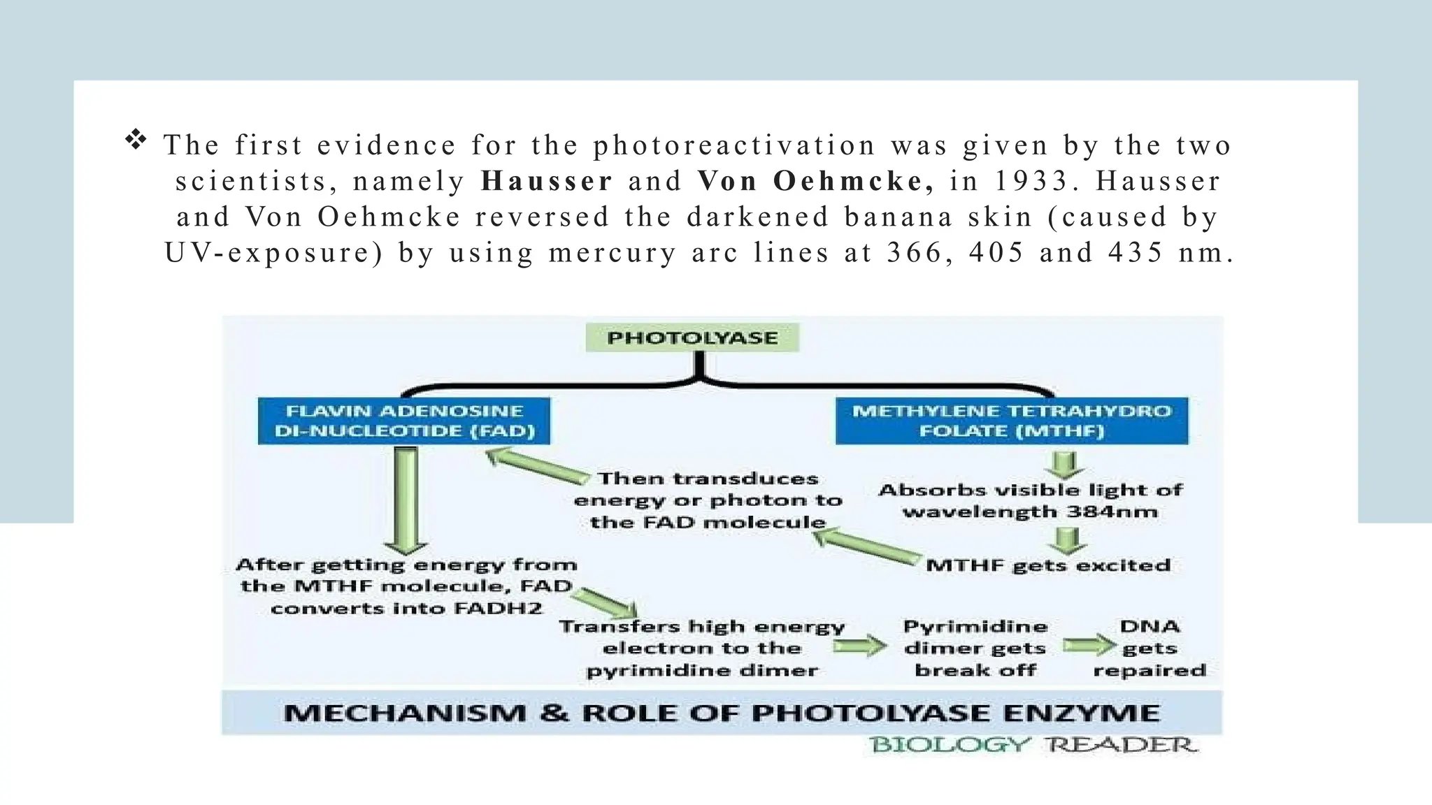 Different DNA repair mechanism and their diagram | PPTX