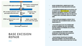 Different DNA repair mechanism and their diagram | PPTX