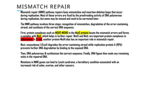 Different DNA repair mechanism and their diagram | PPTX