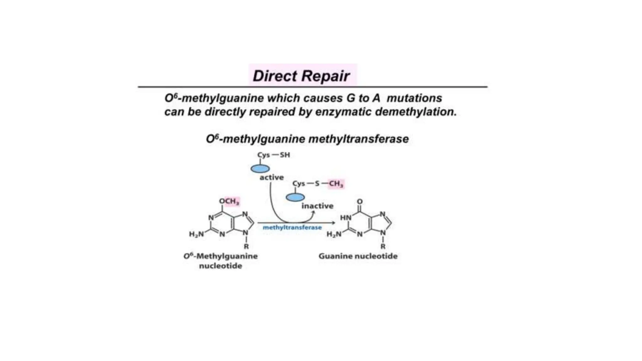 DNA repair mechanism - Brief description, causes and cure | PPTX
