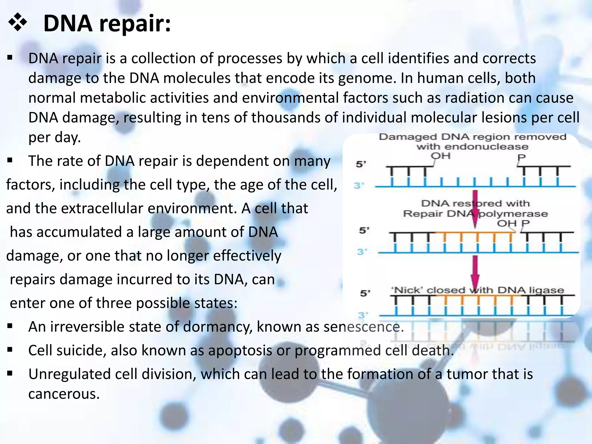 DNA repair mechanism and their types.pptx