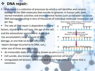 DNA repair mechanism and their types.pptx