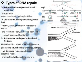 DNA repair mechanism and their types.pptx