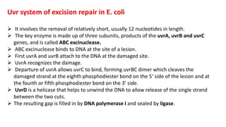 Dna repair mechanisms | PPTX