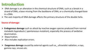 Dna repair mechanisms | PPTX