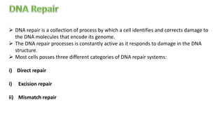 Dna repair mechanisms | PPTX