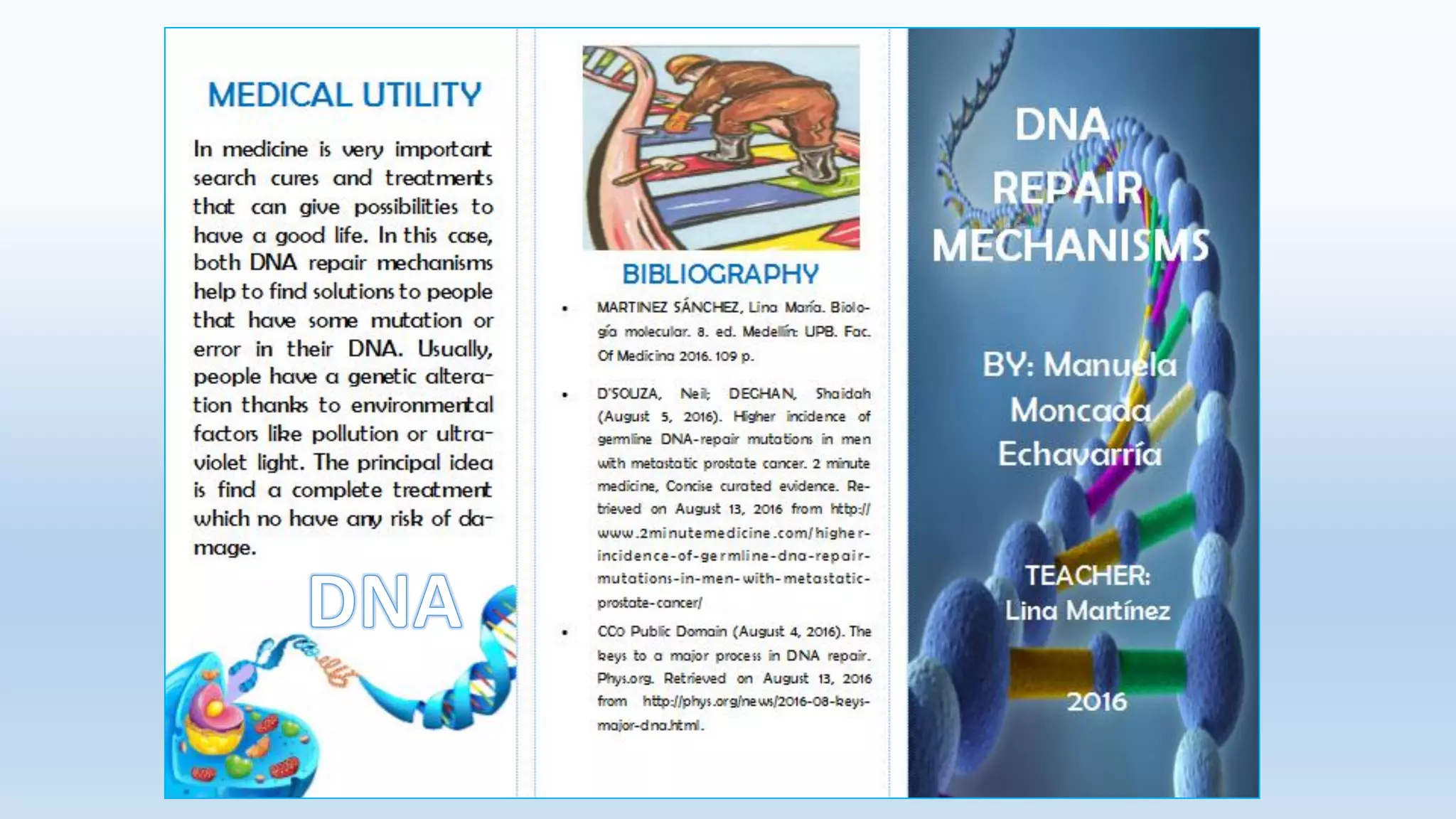 Dna repair mechanisms | PPT