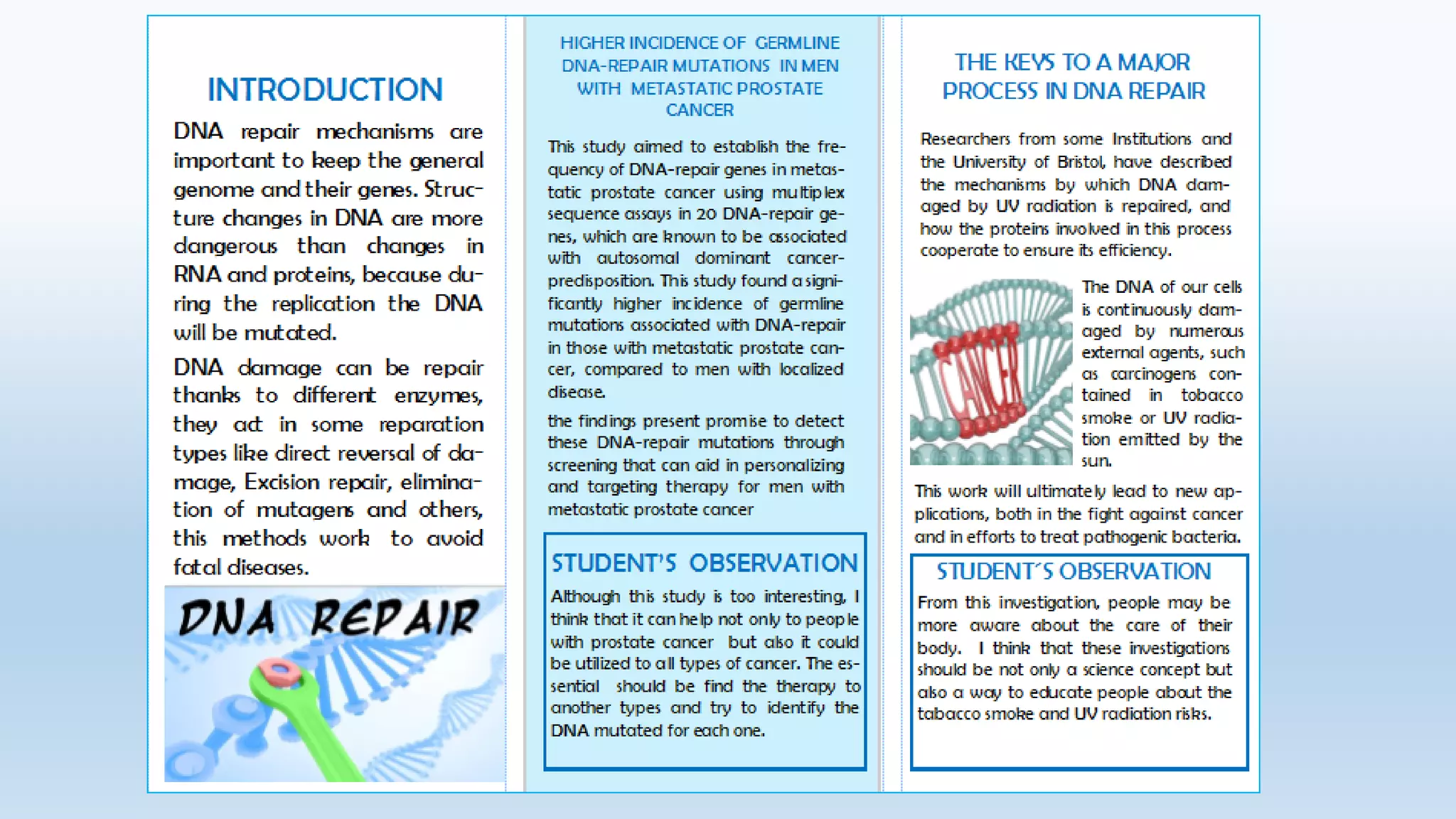 Dna repair mechanisms | PPT
