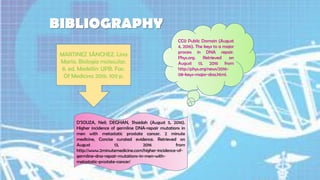 Dna repair mechanisms | PPT