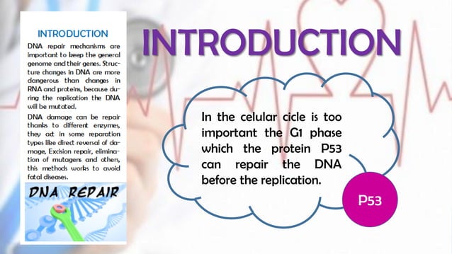 Dna repair mechanisms | PPT