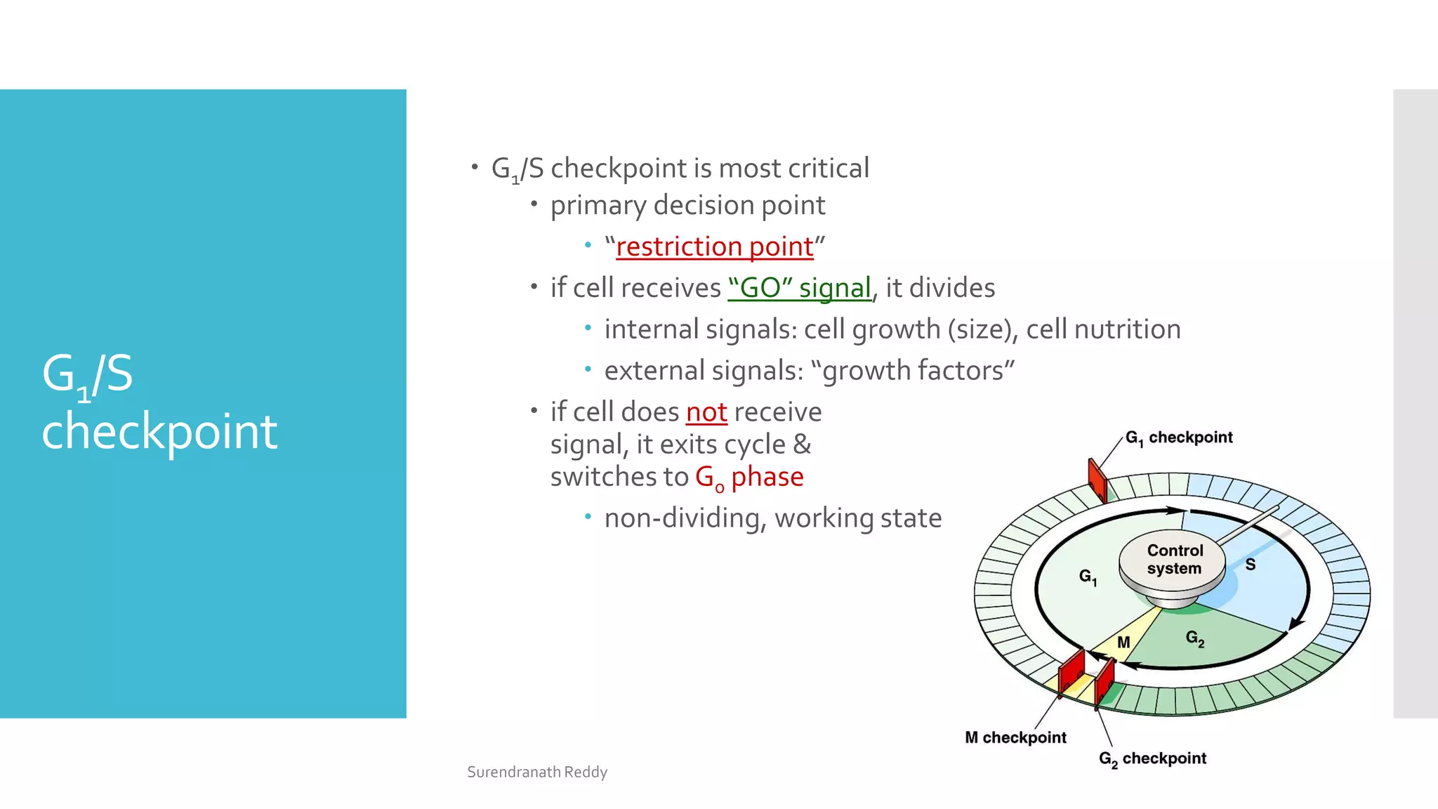 Dna repair mechanisms & cell cycle checkpoints | PPTX