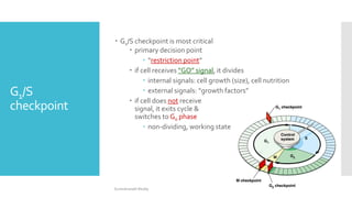 Dna repair mechanisms & cell cycle checkpoints | PPT