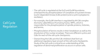 Dna repair mechanisms & cell cycle checkpoints | PPT