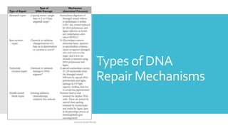 Dna repair mechanisms & cell cycle checkpoints | PPTX
