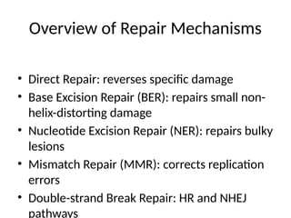 DNA_Repair_Mechanisms_detailed overviewMBBS-1.pptx
