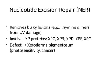 DNA_Repair_Mechanisms_detailed overviewMBBS-1.pptx