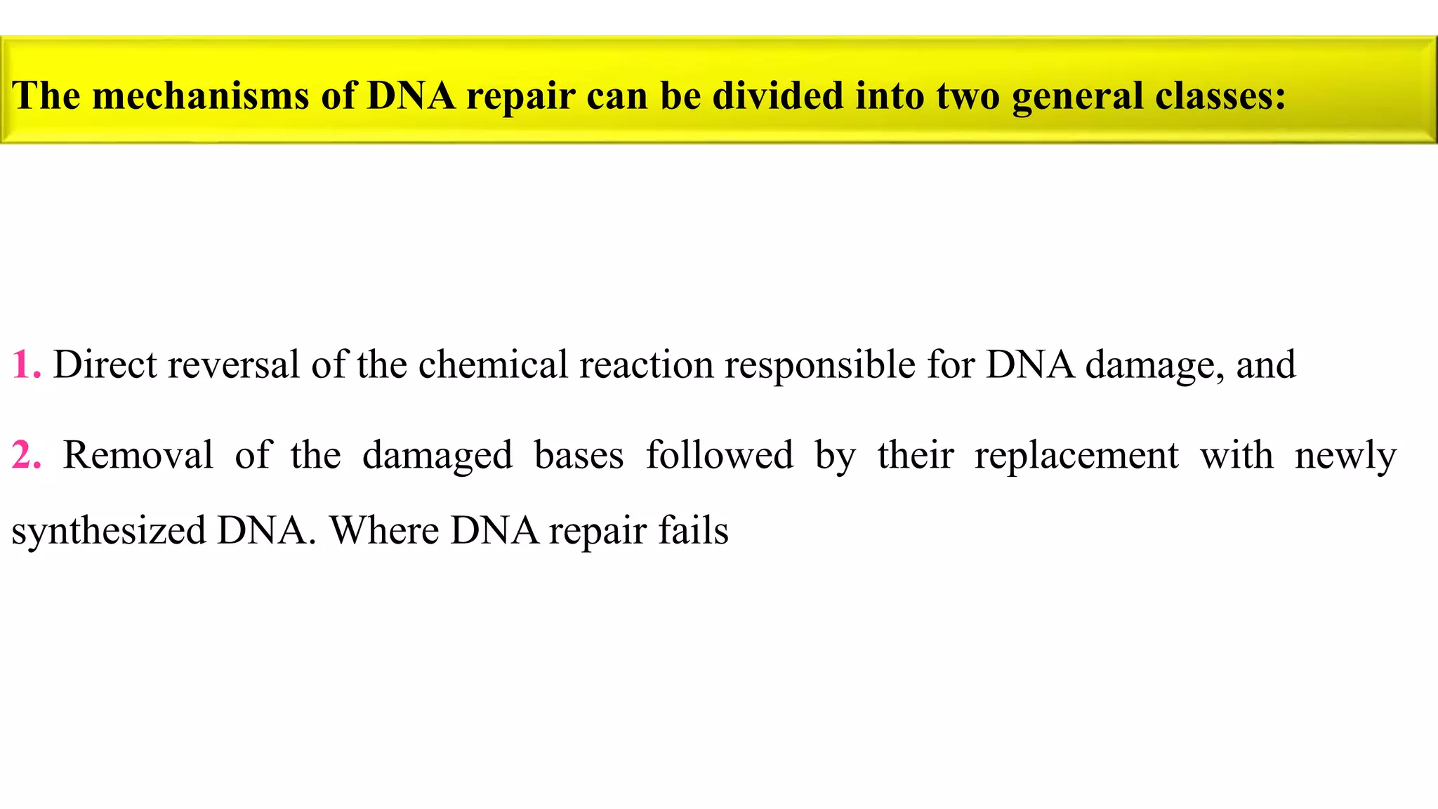 DNA REPAIR MECHANSIMS (2).pptx