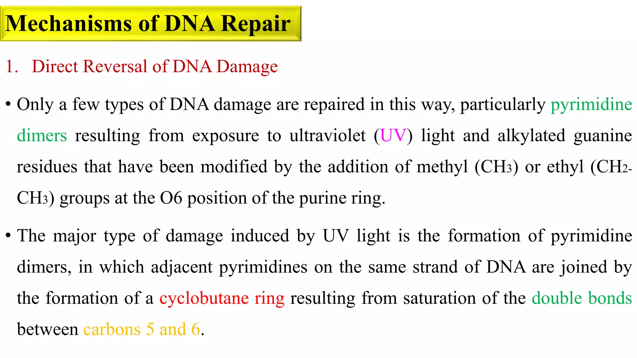 DNA REPAIR MECHANSIMS (2).pptx | Chemistry | Science