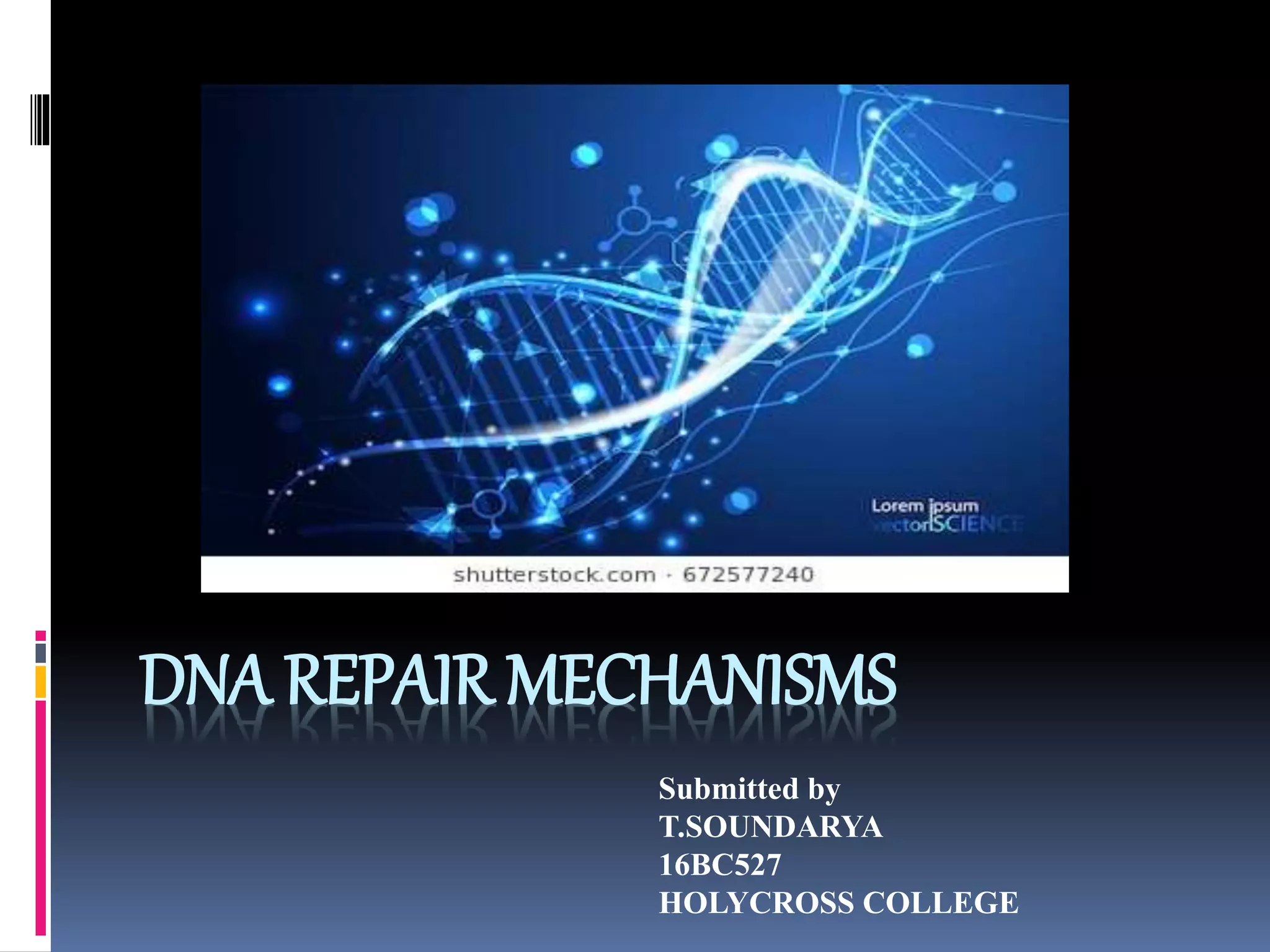 DNA repair mechanisms | PPTX