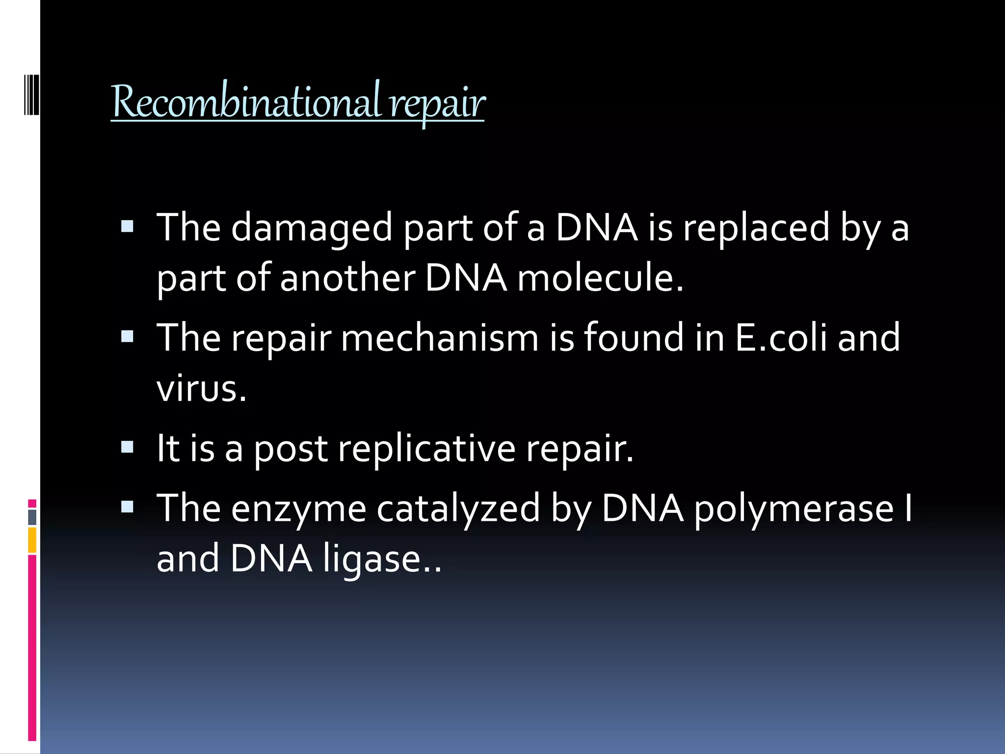 DNA repair mechanisms | PPTX