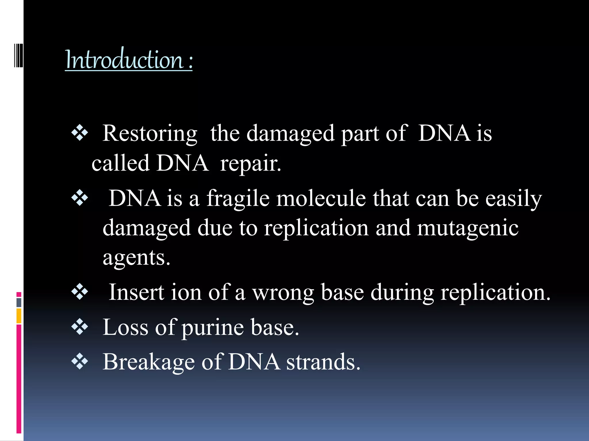DNA repair mechanisms | PPTX